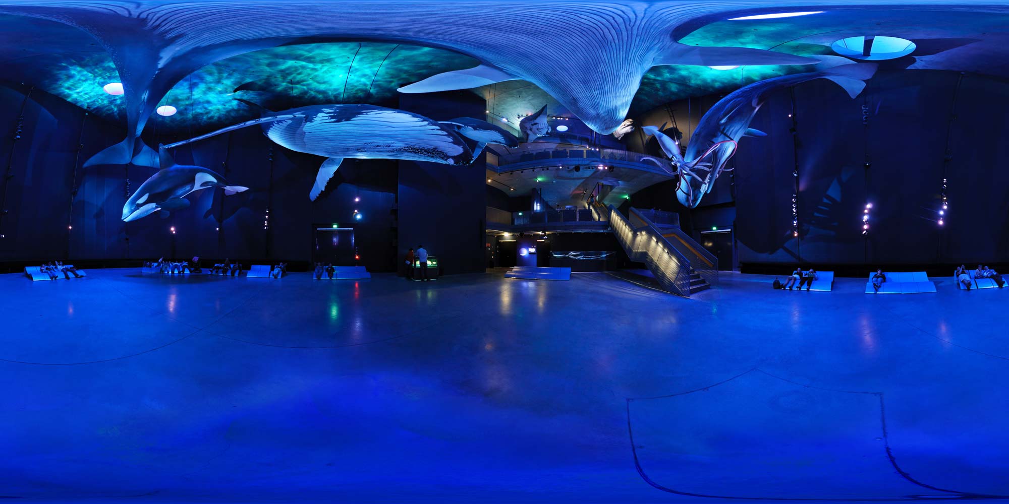 Oceanarium w Stralsund | Podróże / Wycieczki | Rodzinka | Hot Magazine